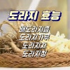 도라지 효능 배즙 도라지가루 도라지청 도라지차 만드는법 부작용 네이버 블로그